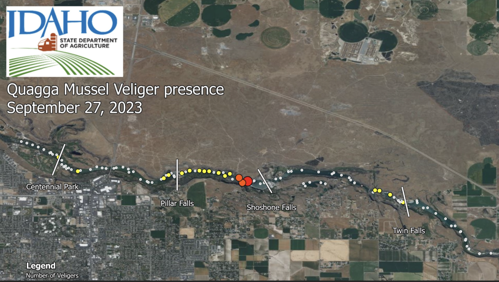 Invasive quagga mussels in Snake River trigger rapid response Invasive quagga mussels in Snake River trigger rapid response